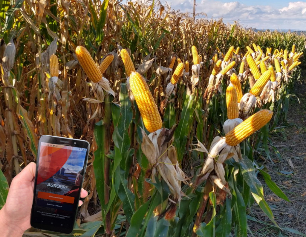 BRF: App Digital Agro traz nova funcionalidade para a comercialização ...